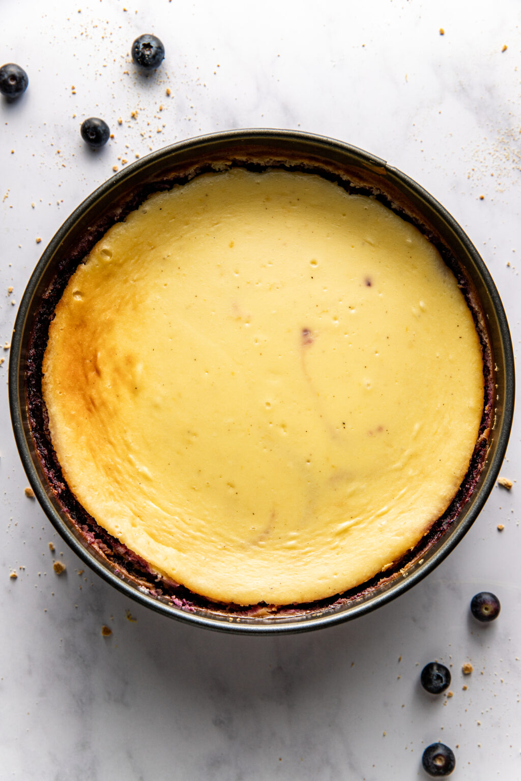 Lemon Blueberry Cheesecake Recipe - Butter Love & Salt